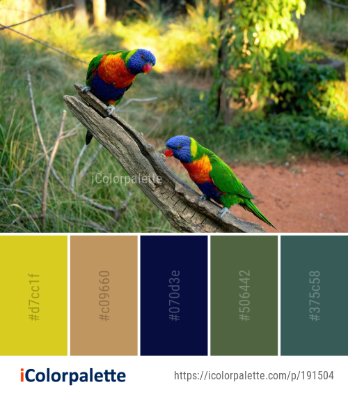 Color Palette Ideas from Bird Parrot Macaw Image | iColorpalette