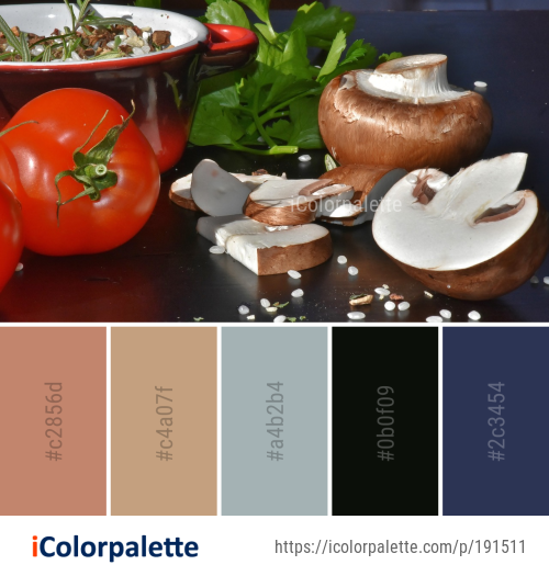 Color Palette Ideas from Dish Vegetable Food Image | iColorpalette