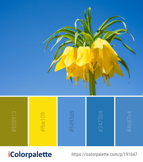 6+ Crown Imperial Color Palette ideas in 2026 | iColorPalette