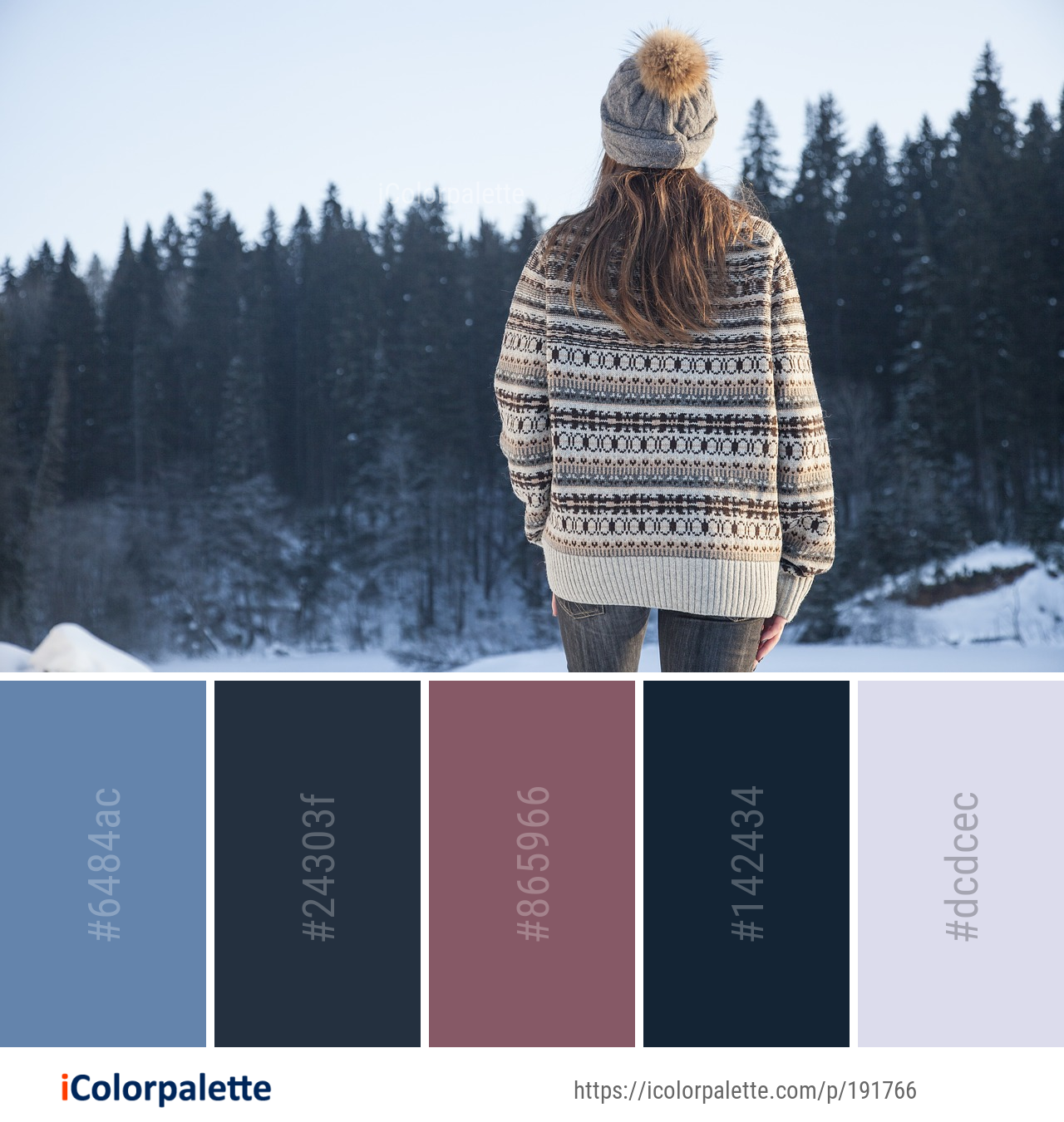 Color Palette Ideas from Winter Clothing Snow Image | iColorpalette