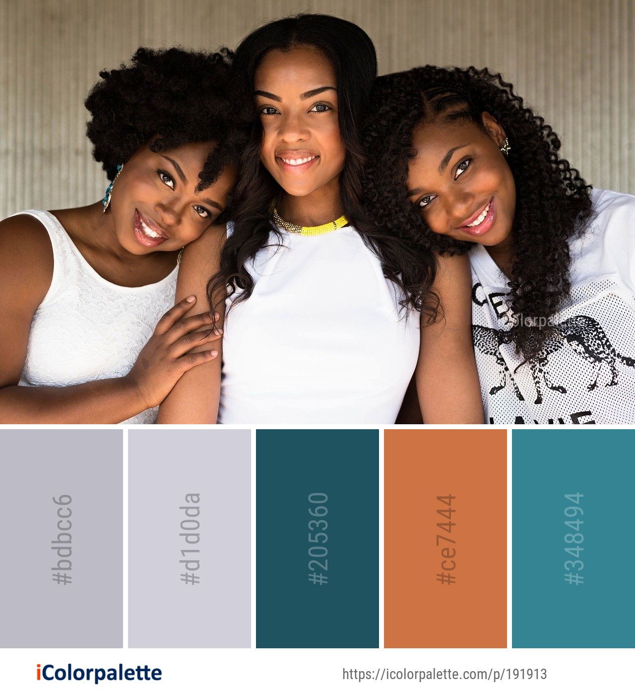 16+ Friendship Color Palette ideas in 2026 | iColorPalette