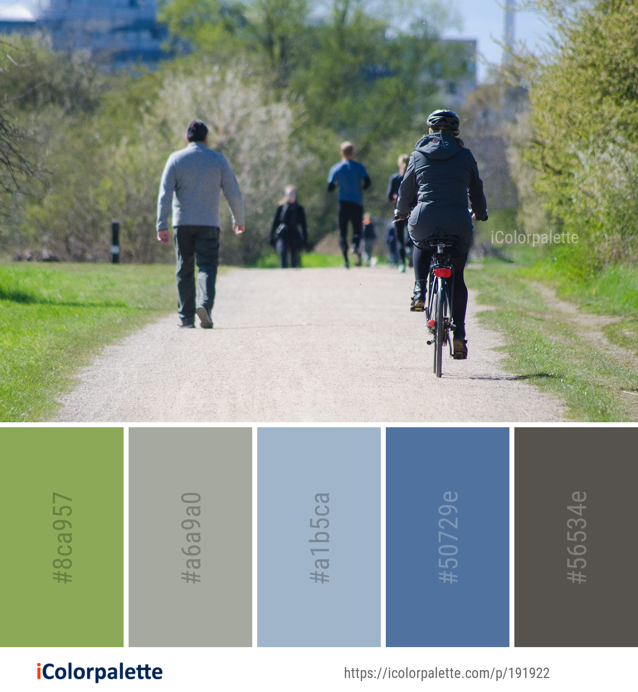 53+ Bicycle Color Palette ideas in 2025 | iColorPalette