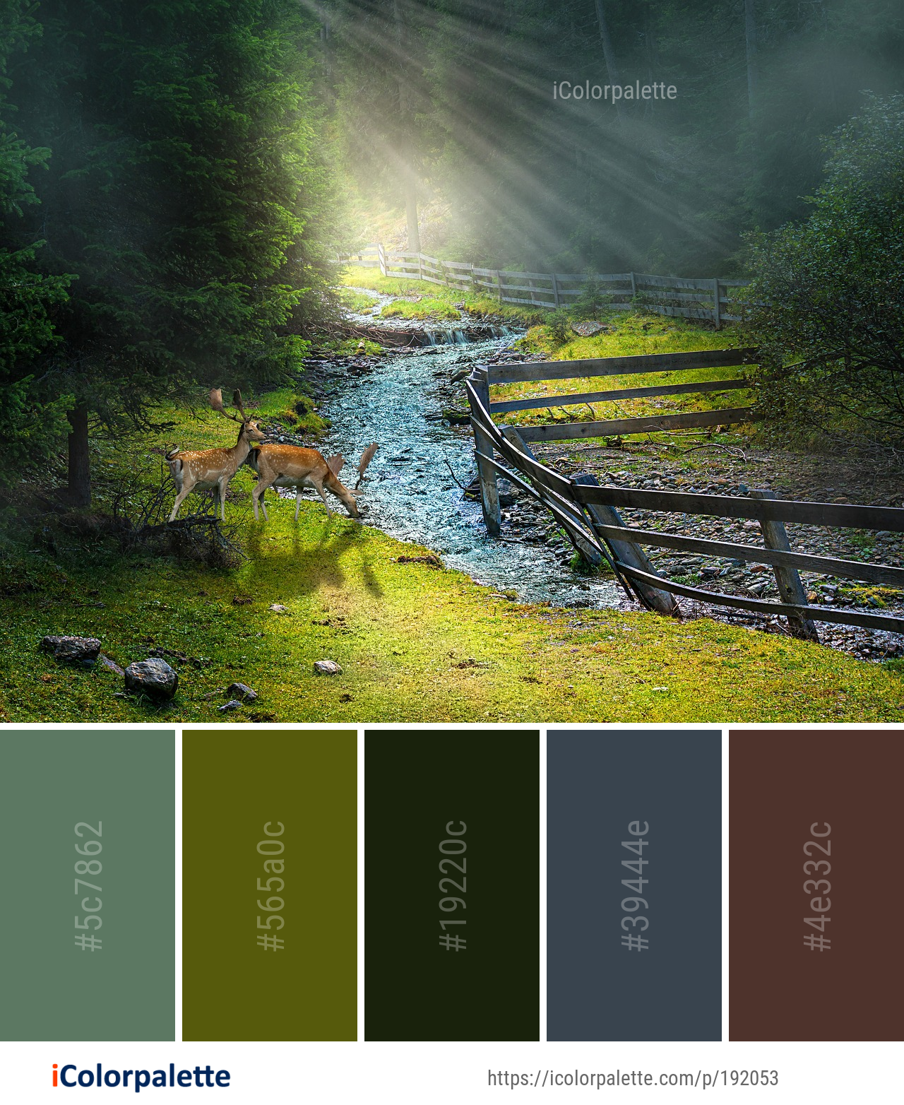 Color Palette Ideas from Nature Green Wilderness Image | iColorpalette