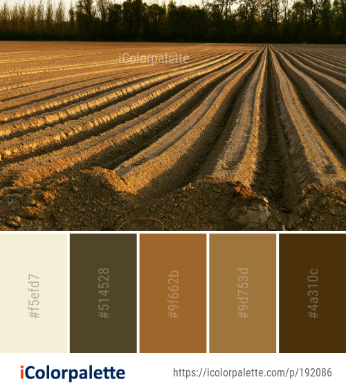 Color Palette Ideas from Field Soil Crop Image | iColorpalette