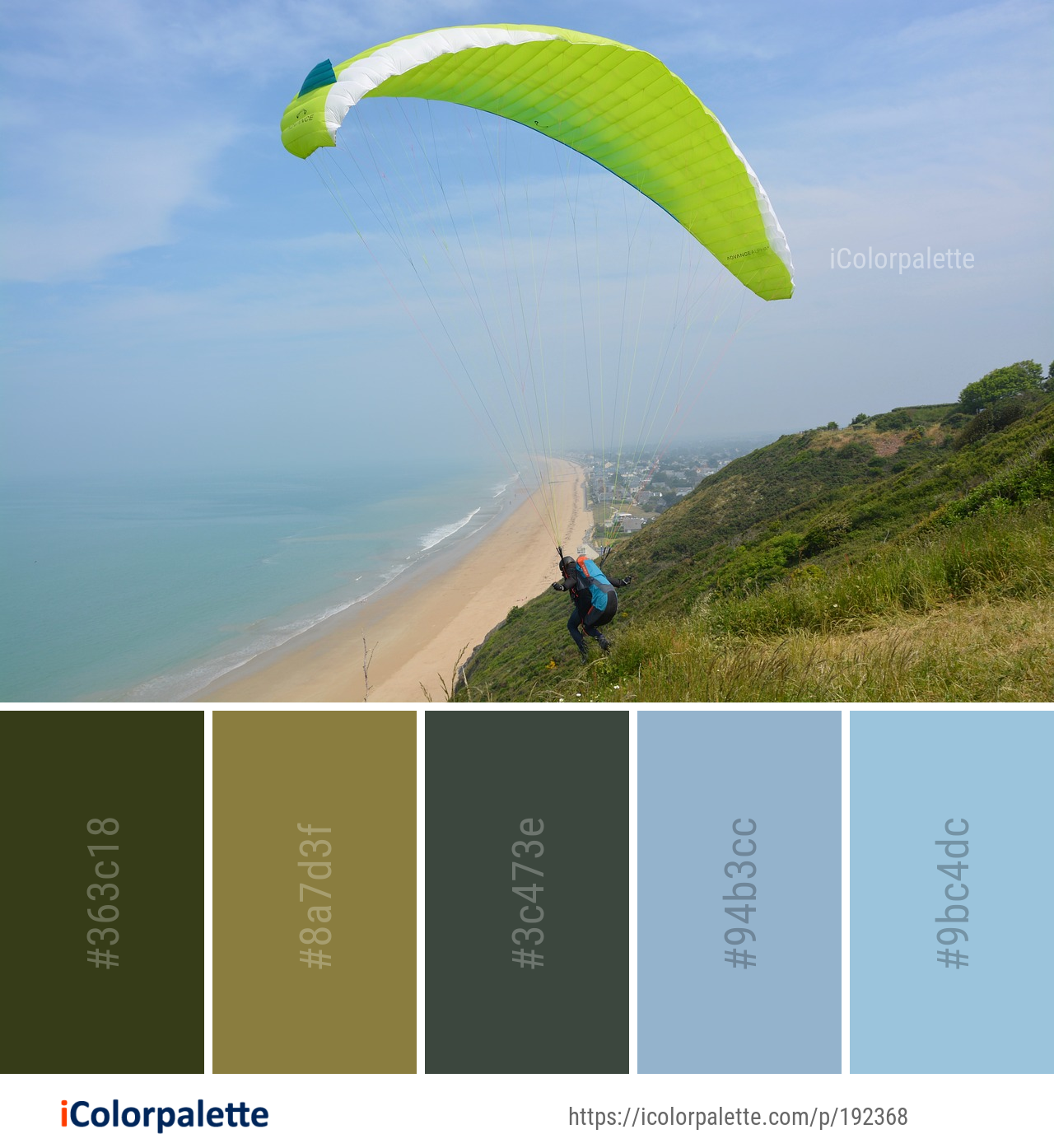 20 Air Sports Color Palette ideas in 2025 | iColorpalette