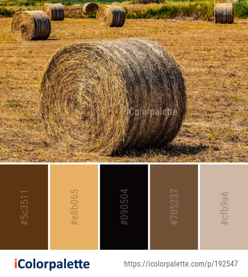 Color Palette Ideas from Hay Field Agriculture Image | iColorpalette