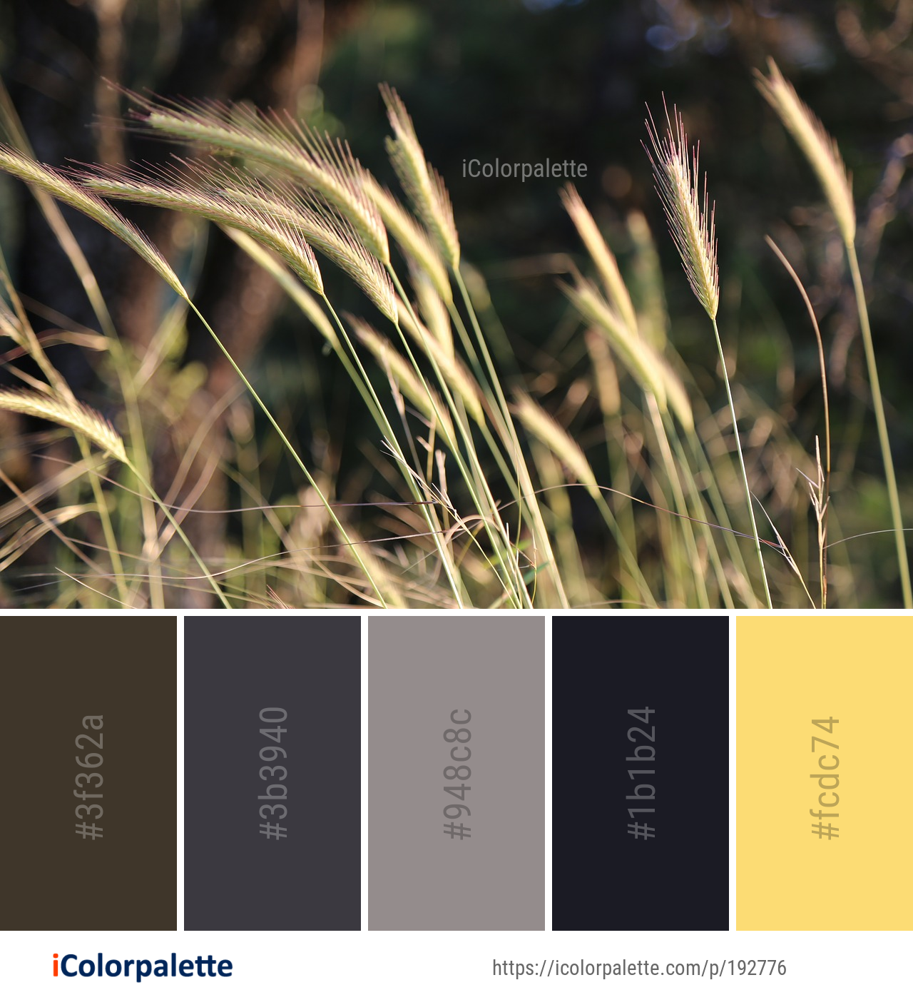 Color Palette Ideas from Grass Vegetation Family Image | iColorpalette