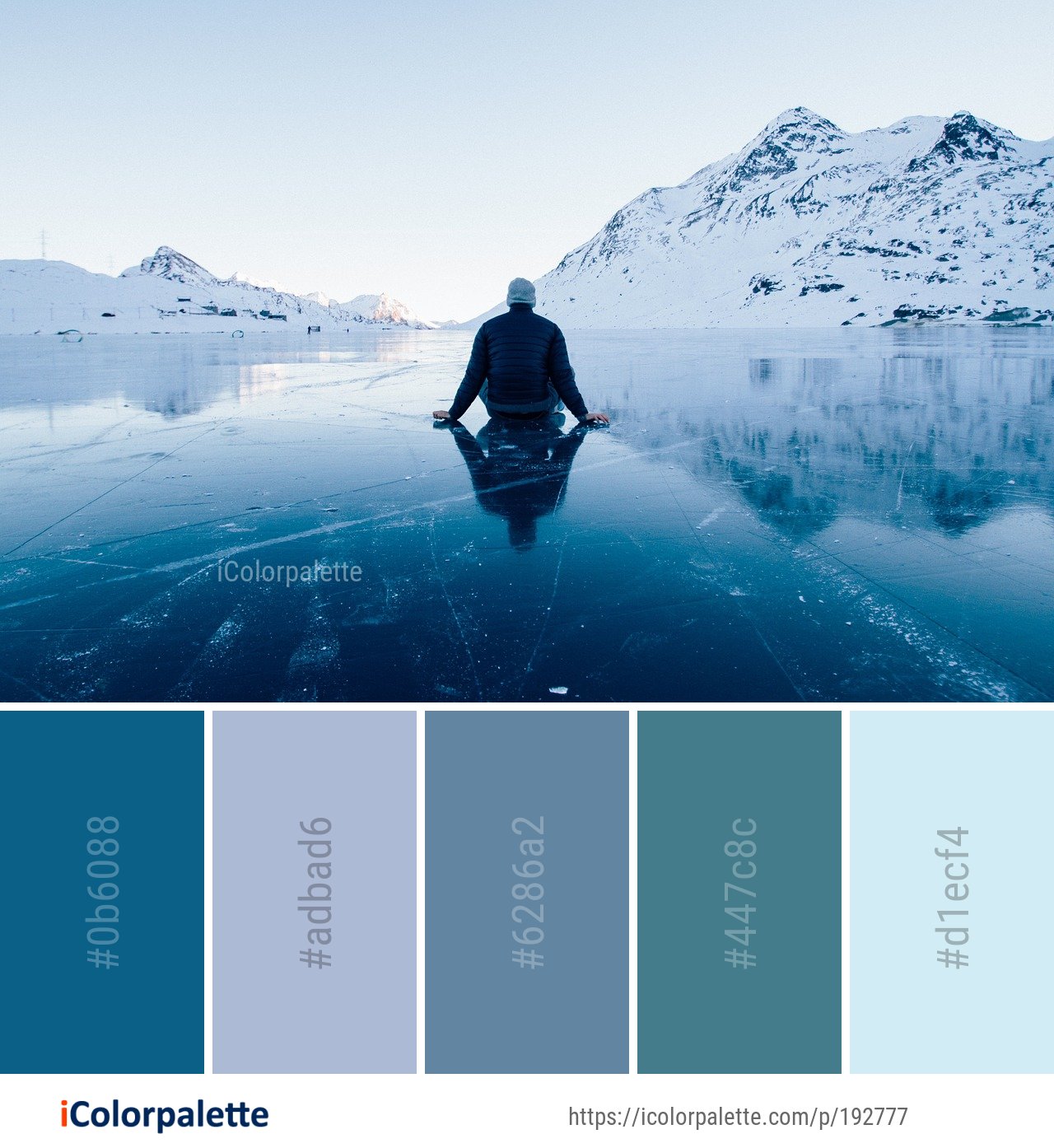 Color Palette Ideas from Water Reflection Arctic Image | iColorpalette