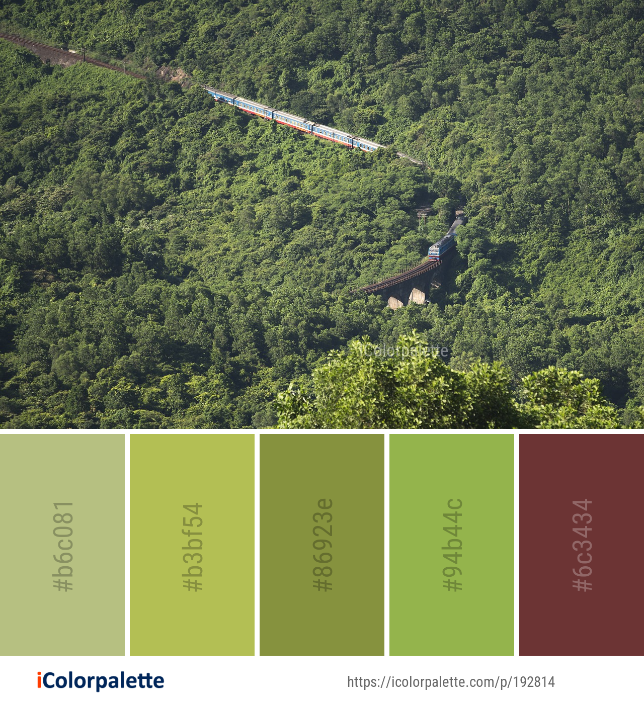Color Palette Ideas from Forest Mountain Tree Image | iColorpalette
