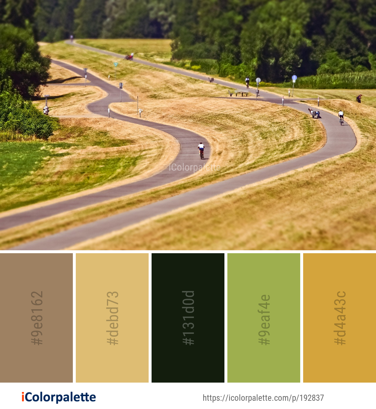 Color Palette Ideas from Road Path Infrastructure Image | iColorpalette