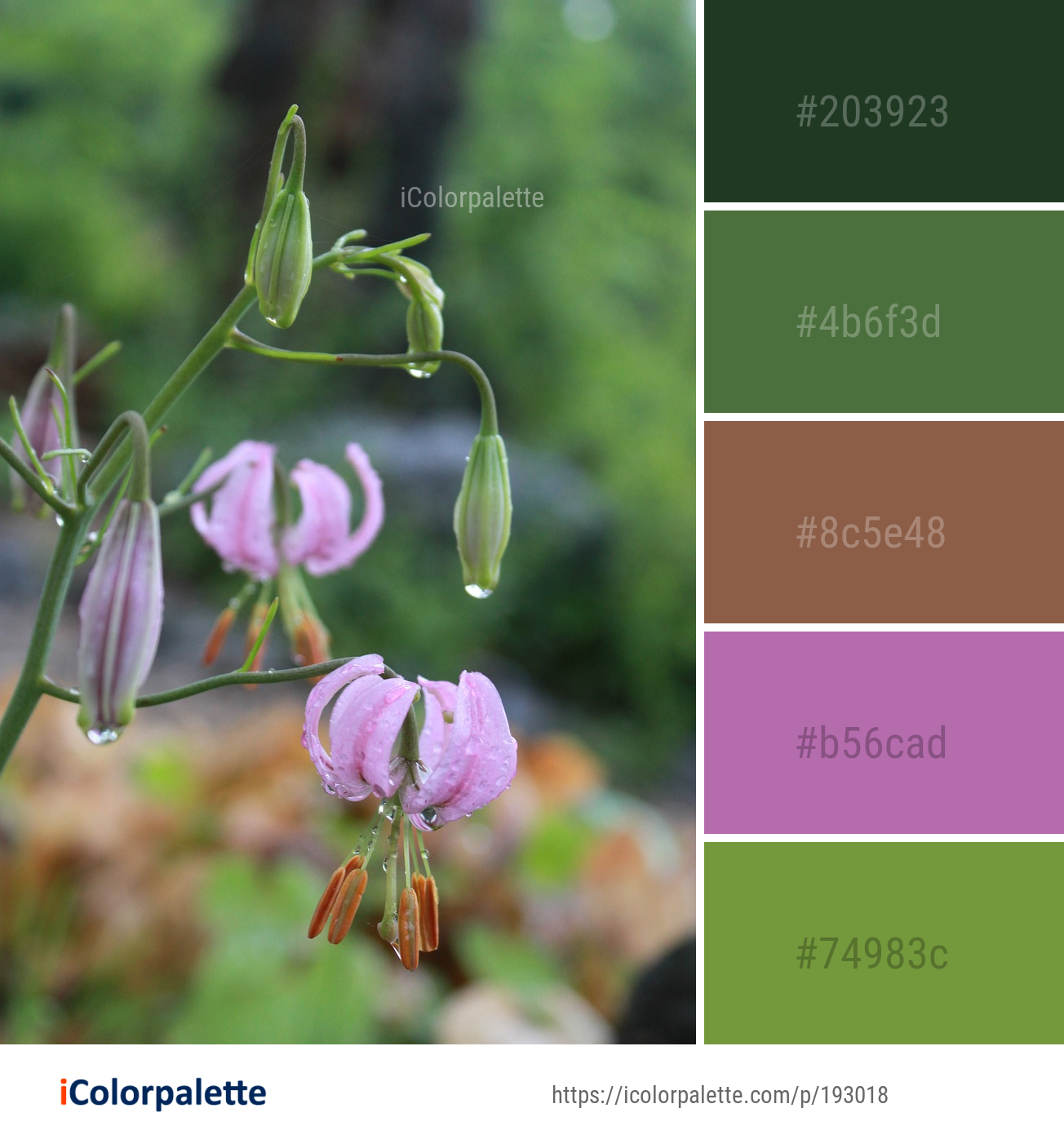 Color Palette Ideas from Flora Flower Plant Image | iColorpalette