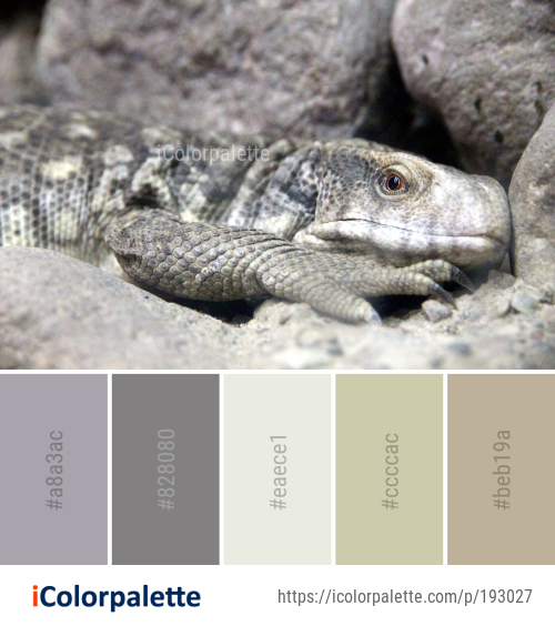 Color Palette Ideas from Reptile Scaled Terrestrial Animal Image ...