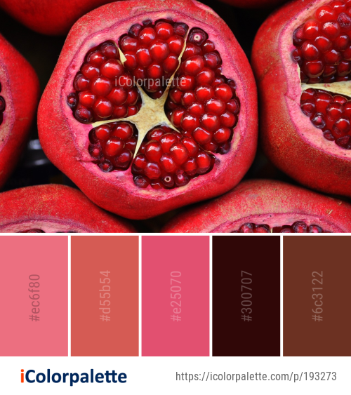 30+ Cranberry Color Palette ideas in 2026 | iColorPalette