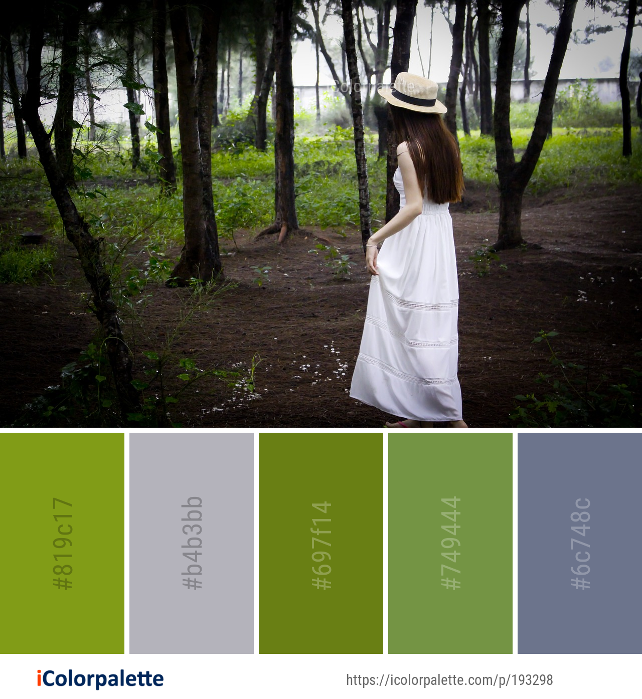 Color Palette Ideas from Tree Green Nature Image | iColorpalette