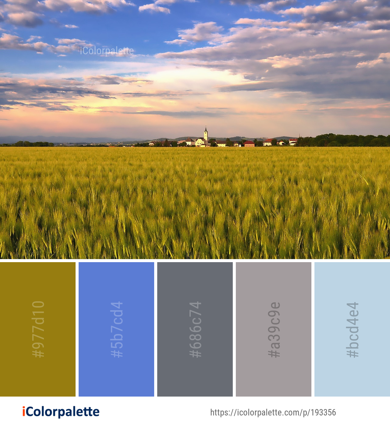 Color Palette Ideas from Sky Field Grassland Image | iColorpalette