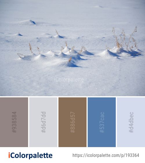 Color Palette Ideas from Snow Freezing Sky Image | iColorpalette