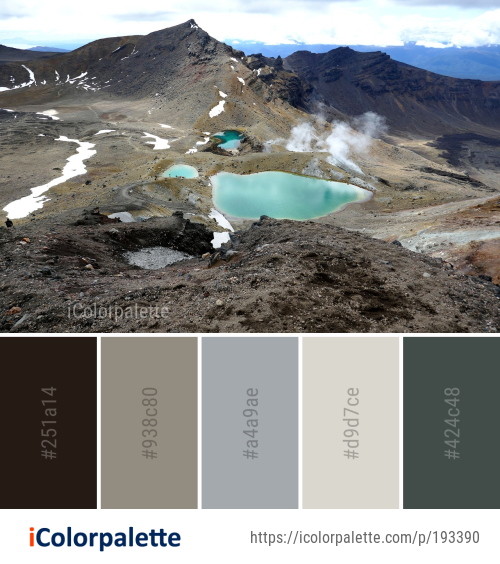 19+ Elevation Color Palette ideas in 2025 | iColorPalette