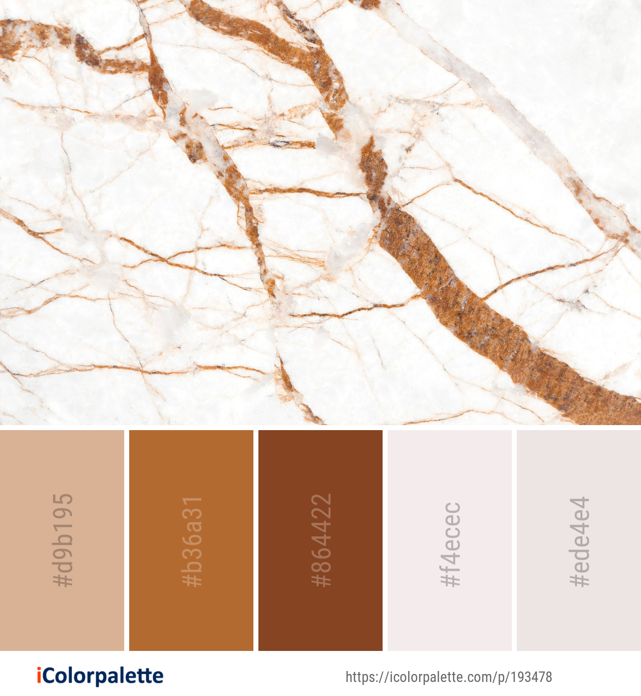 9+ Marble Color Palette ideas in 2026 | iColorPalette