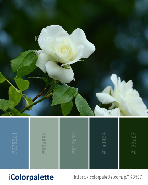 24 Gardenia Color Palette ideas in 2025 | iColorpalette