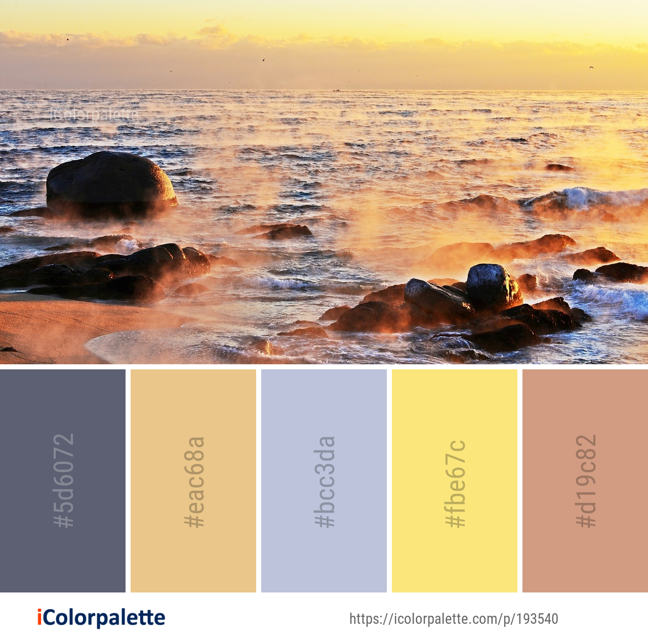 Color Palette Ideas from Sea Body Of Water Shore Image | iColorpalette