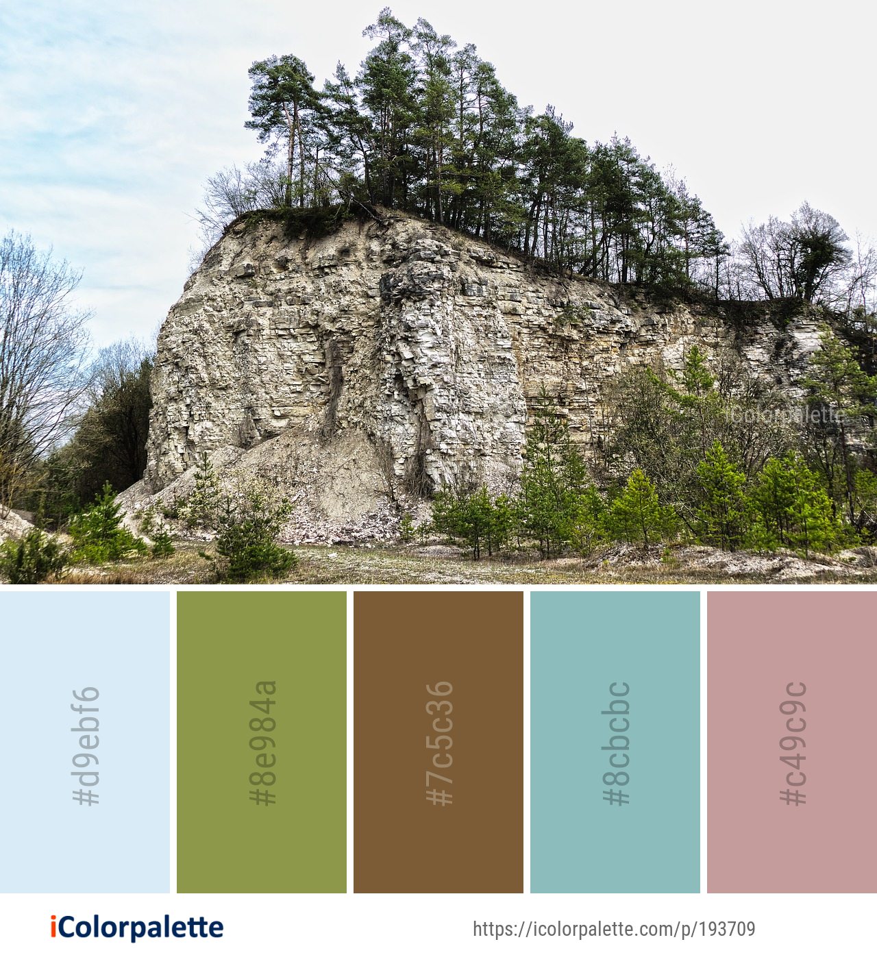 Color Palette Ideas from Rock Tree Archaeological Site Image ...
