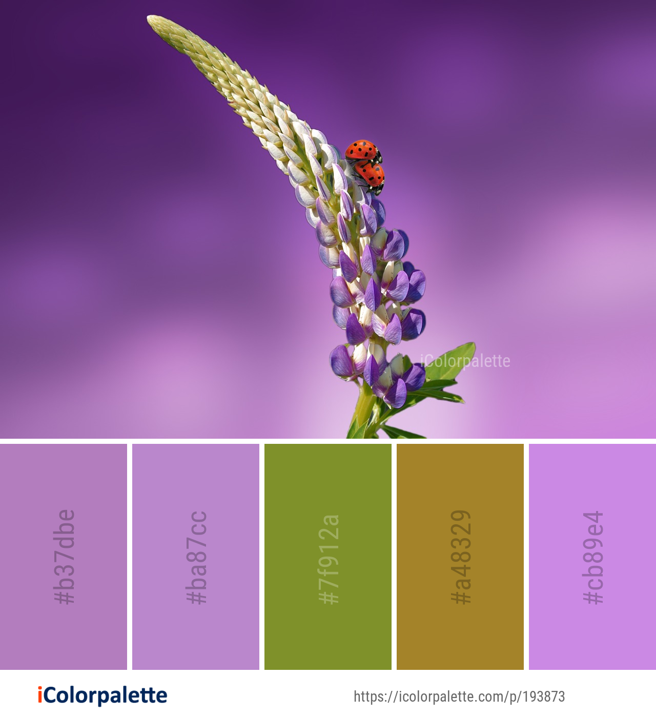 Color Palette Ideas from Flora Macro Photography Nectar Image ...