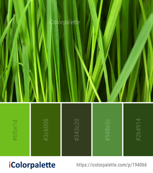 Color Palette Ideas from Green Grass Family Image | iColorpalette