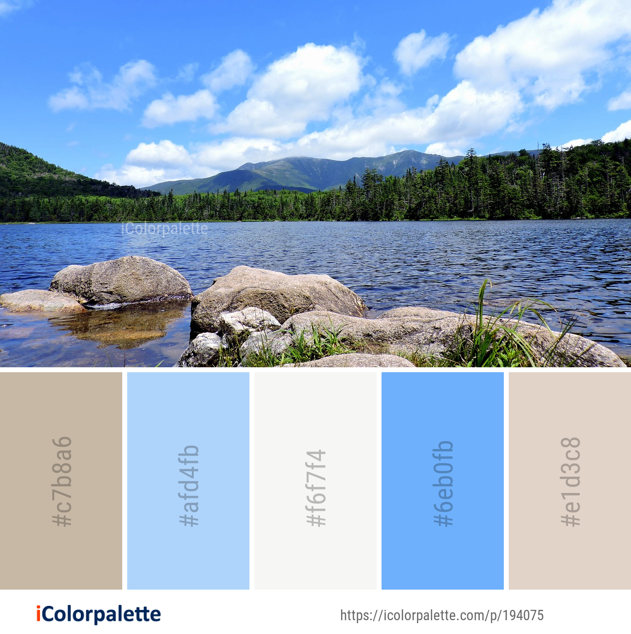 Color Palette Ideas from Water Reflection Lake Image | iColorpalette
