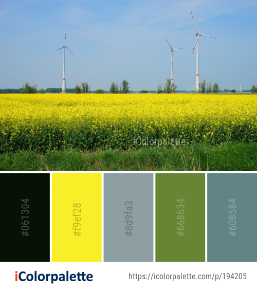 8 Wind Farm Color Palette ideas in 2025 | iColorpalette