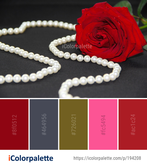 13+ Jewelry Making Color Palette ideas in 2026 | iColorPalette