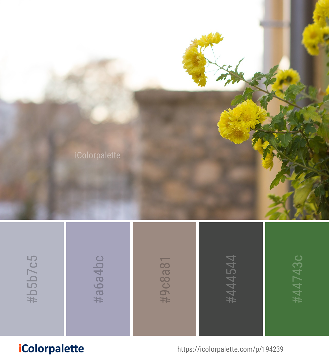 Color Palette Ideas from Flower Yellow Spring Image | iColorpalette