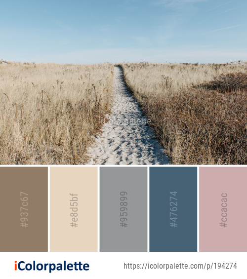 Color Palette Ideas from Sky Ecosystem Prairie Image | iColorpalette