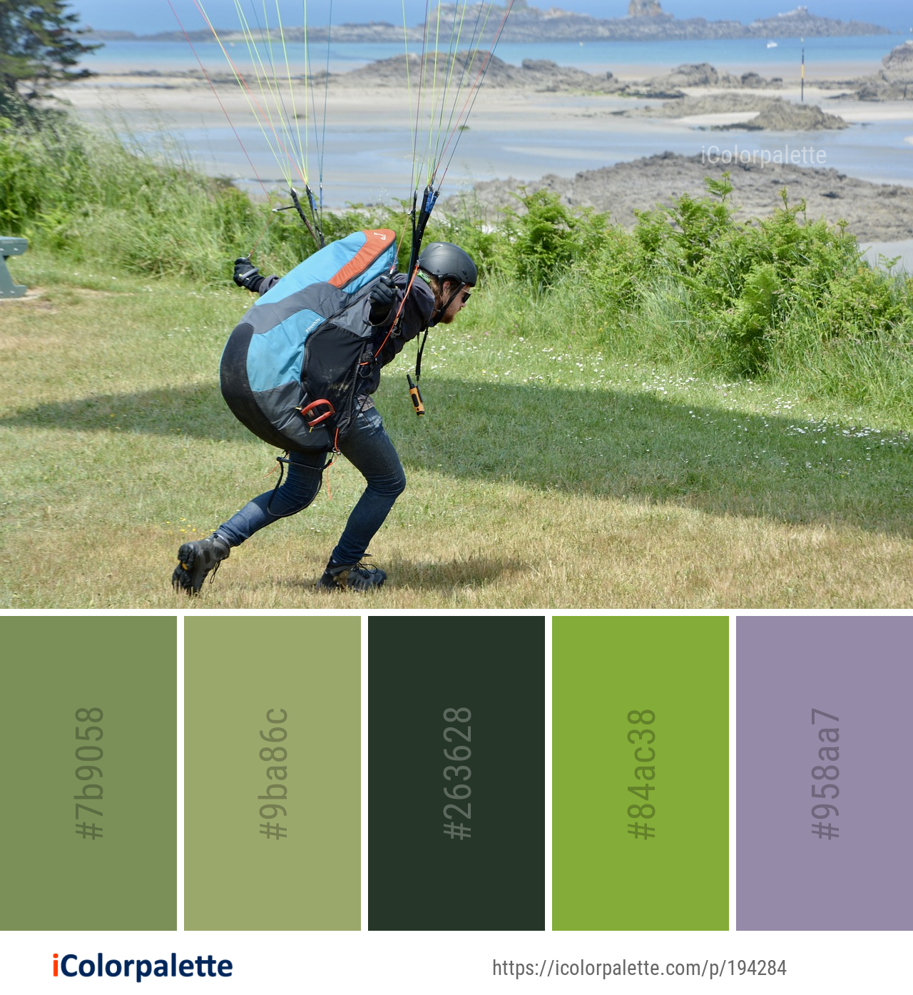 136 Adventure Color Palette ideas in 2025 | iColorpalette