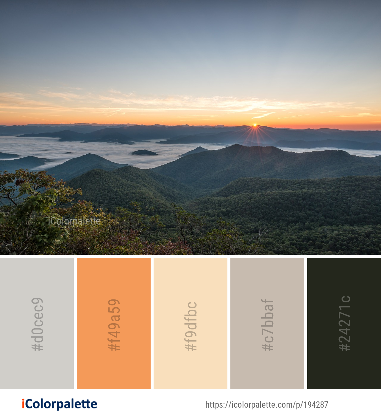 Color Palette Ideas from Sky Dawn Cloud Image | iColorpalette