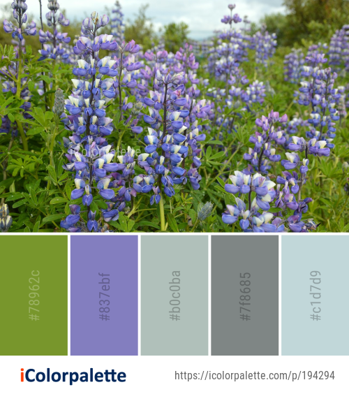 27+ Bluebonnet Color Palette ideas in 2025 | iColorPalette