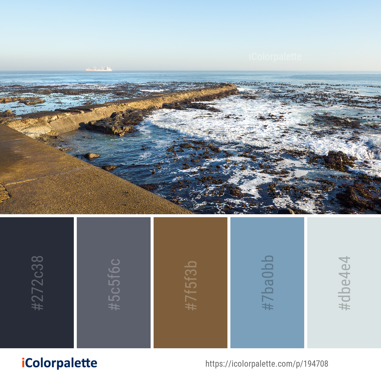Color Palette Ideas from Sea Body Of Water Shore Image | iColorpalette