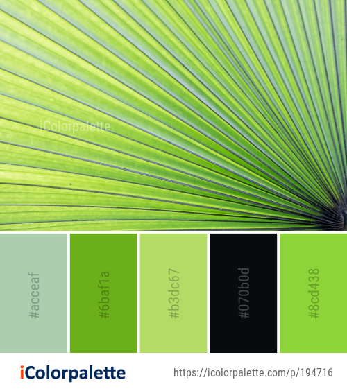 8+ Saw Palmetto Color Palette ideas in 2026 | iColorPalette