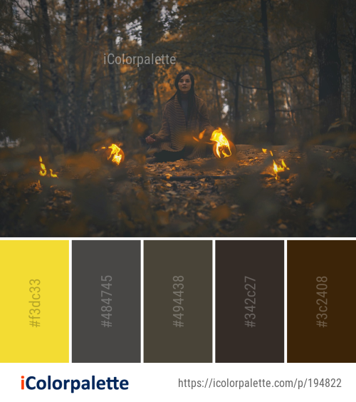 31+ Fire Color Palette ideas in 2026 | iColorPalette