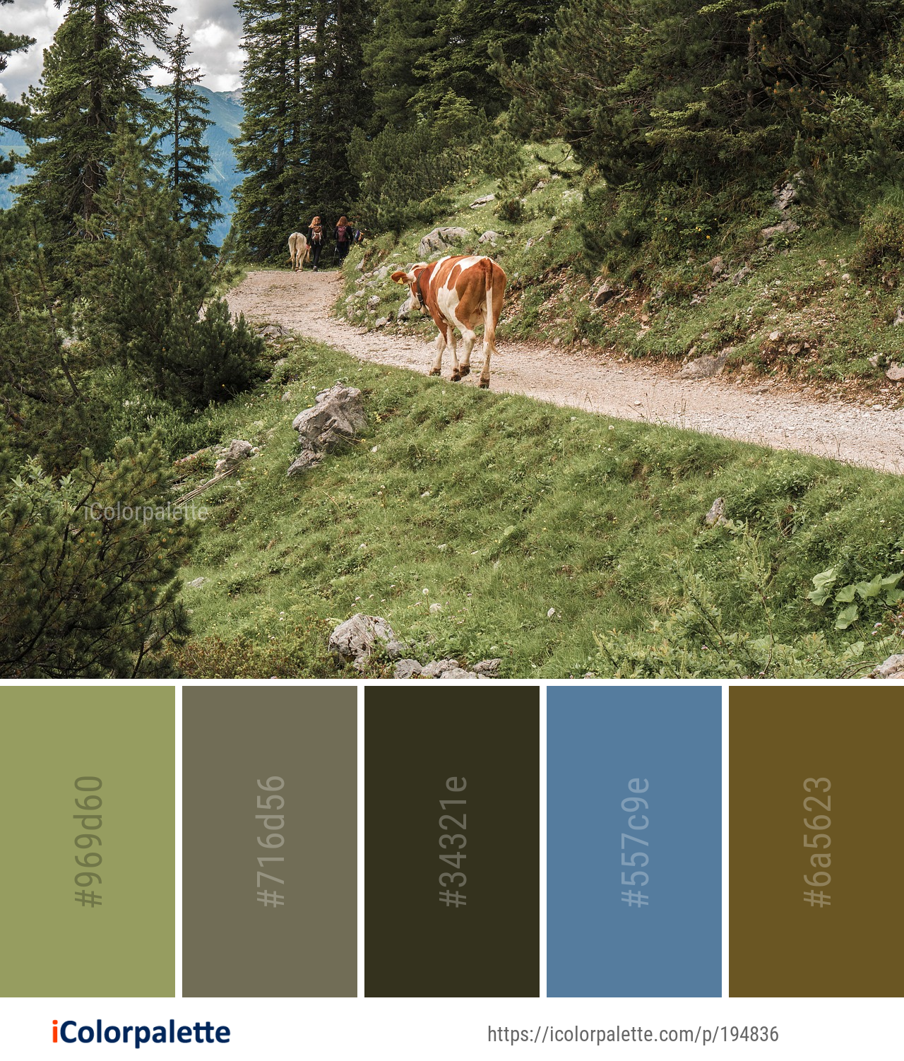 Color Palette Ideas from Nature Reserve Wilderness Ecosystem Image ...