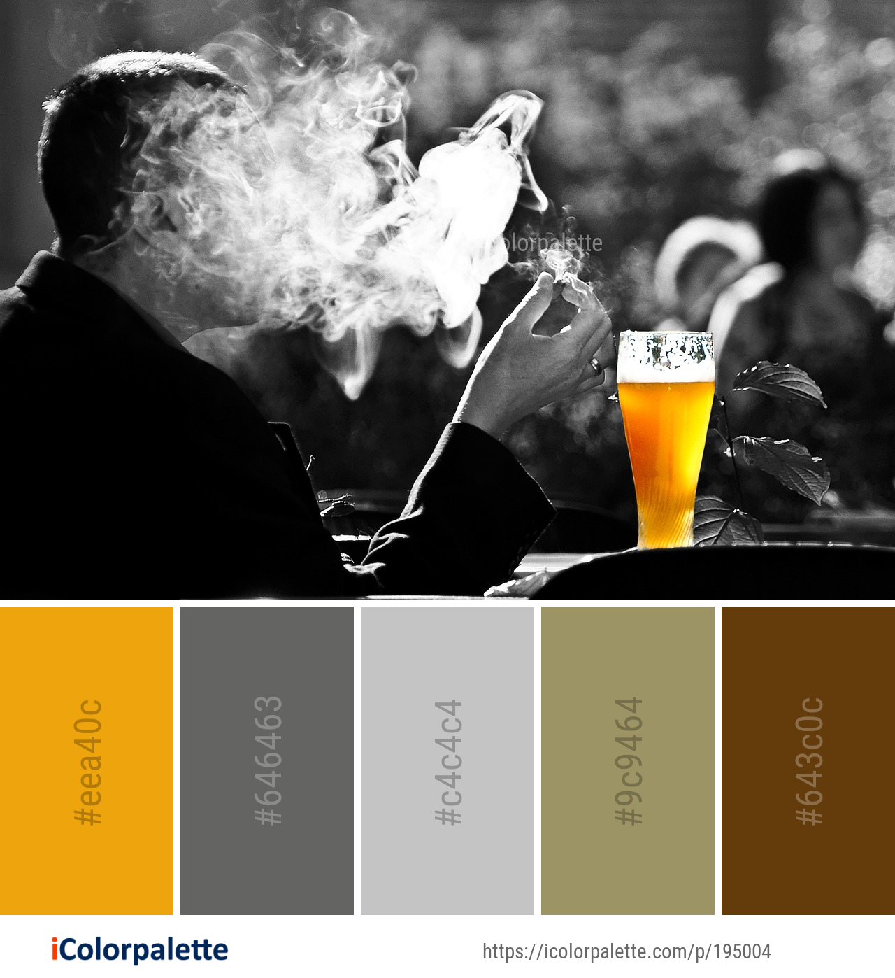 49+ Smoke Color Palette ideas in 2025 | iColorPalette
