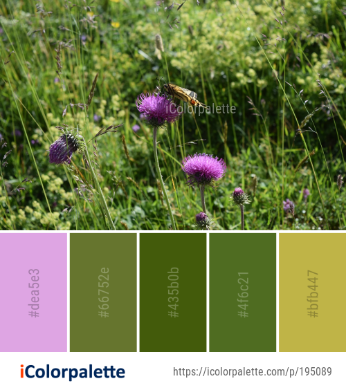 Color Palette Ideas from Plant Vegetation Ecosystem Image | iColorpalette