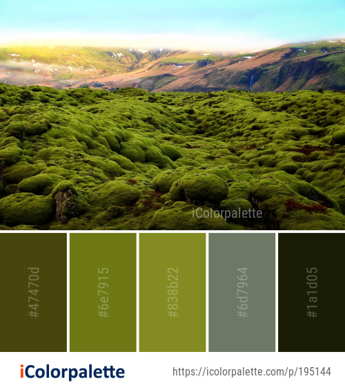 Color Palette Ideas from Vegetation Highland Green Image | iColorPalette
