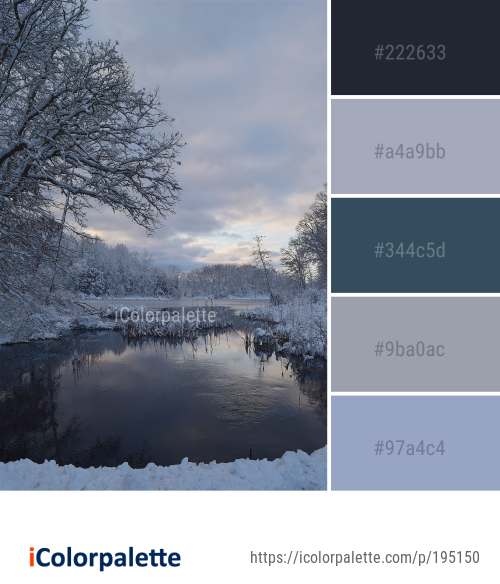 Color Palette Ideas from Winter Snow Reflection Image | iColorpalette