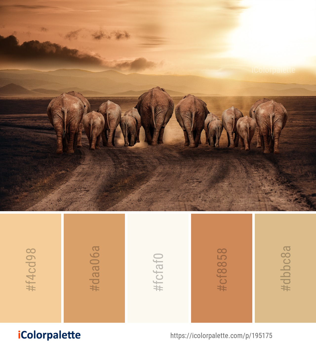 Color Palette Ideas from Elephants And Mammoths Wildlife Elephant Image ...