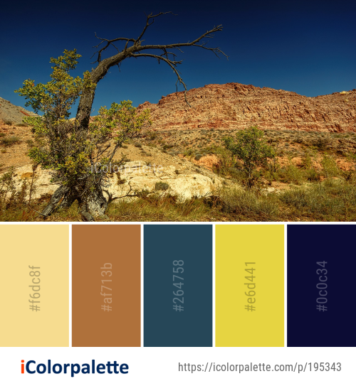 Color Palette Ideas from Sky Vegetation Ecosystem Image | iColorpalette