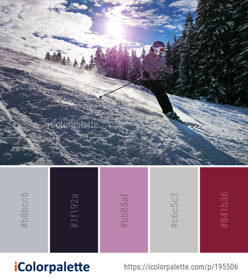 Color Palette Ideas from Winter Ski Snow Image | iColorpalette