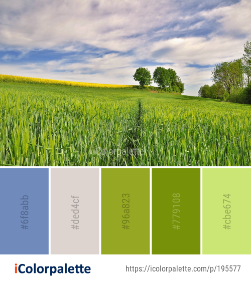Color Palette Ideas from Sky Grassland Field Image | iColorpalette