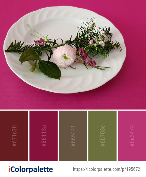 11+ Plate Color Palette ideas in 2025 | iColorPalette