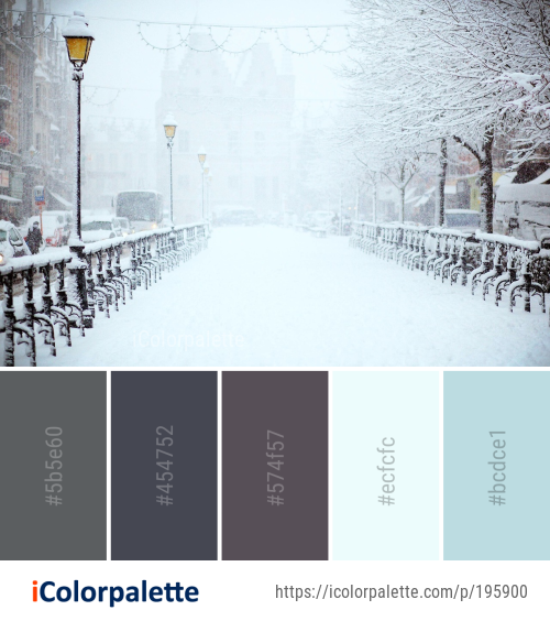 Color Palette Ideas from Snow Winter Freezing Image | iColorpalette