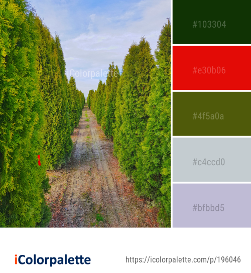 Color Palette Ideas from Vegetation Nature Tree Image | iColorpalette